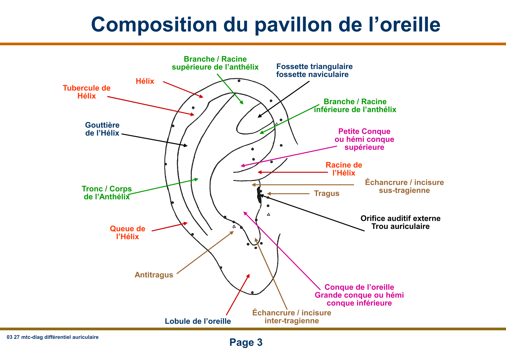 Les méridiens | Medecine Traditionnelle Chinoise